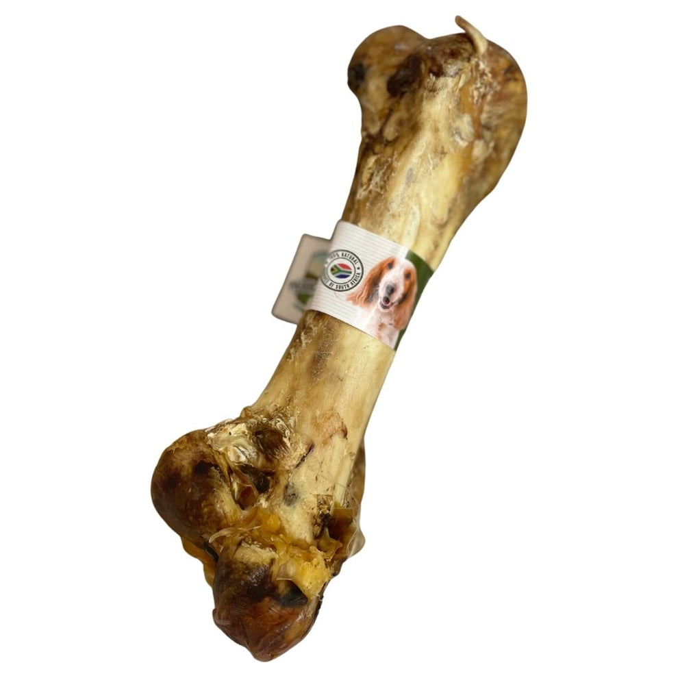 Ostrich Dino Bone (Single) – Origin Pets Longton